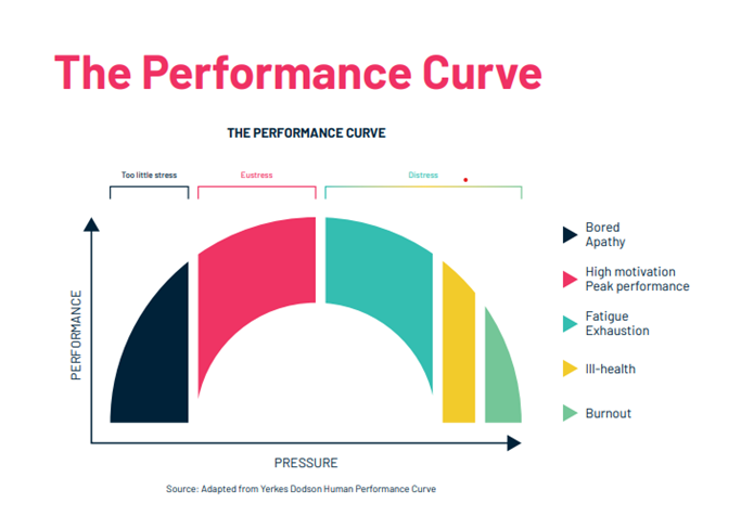 How to grow a high performing team
